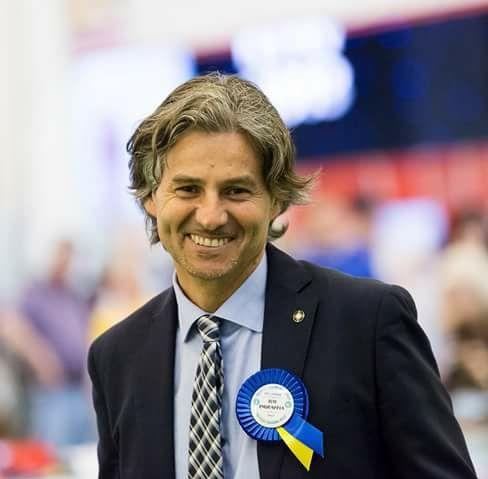 Ivo Ingraffia — Международный выставочный рейтинг шоу собак