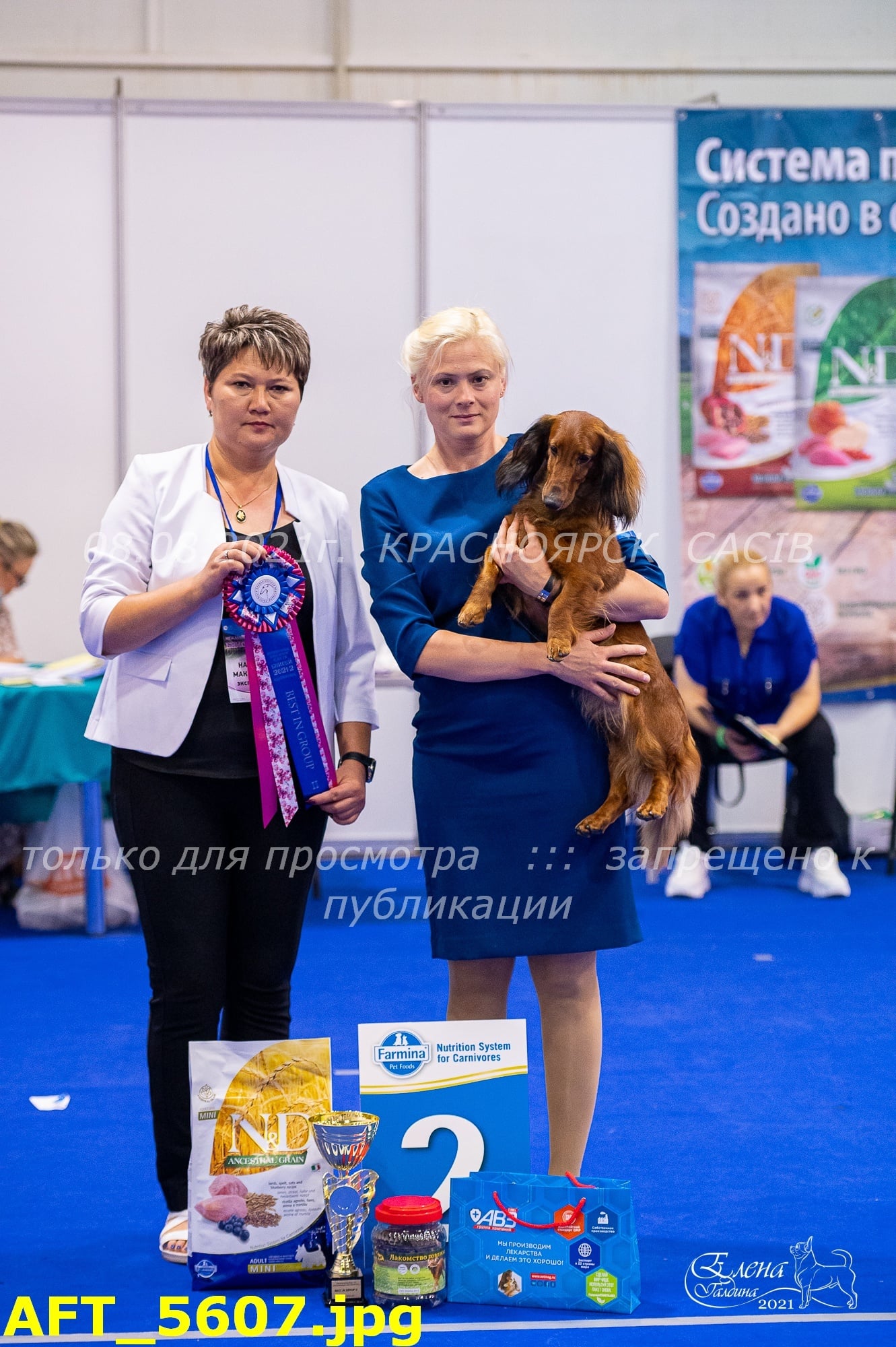 Olga Hr — Международный выставочный рейтинг шоу собак