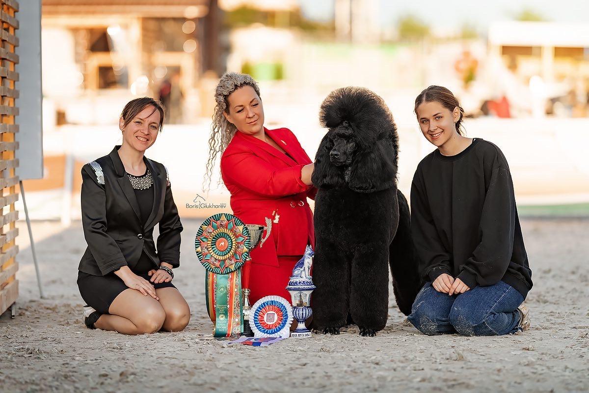 MALICE MIZER E SARMAT / E'SARMAT — Международный выставочный рейтинг ...